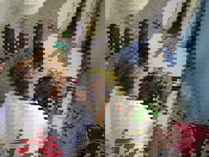 MSF receives Green Star Award for leadership in environmental ...